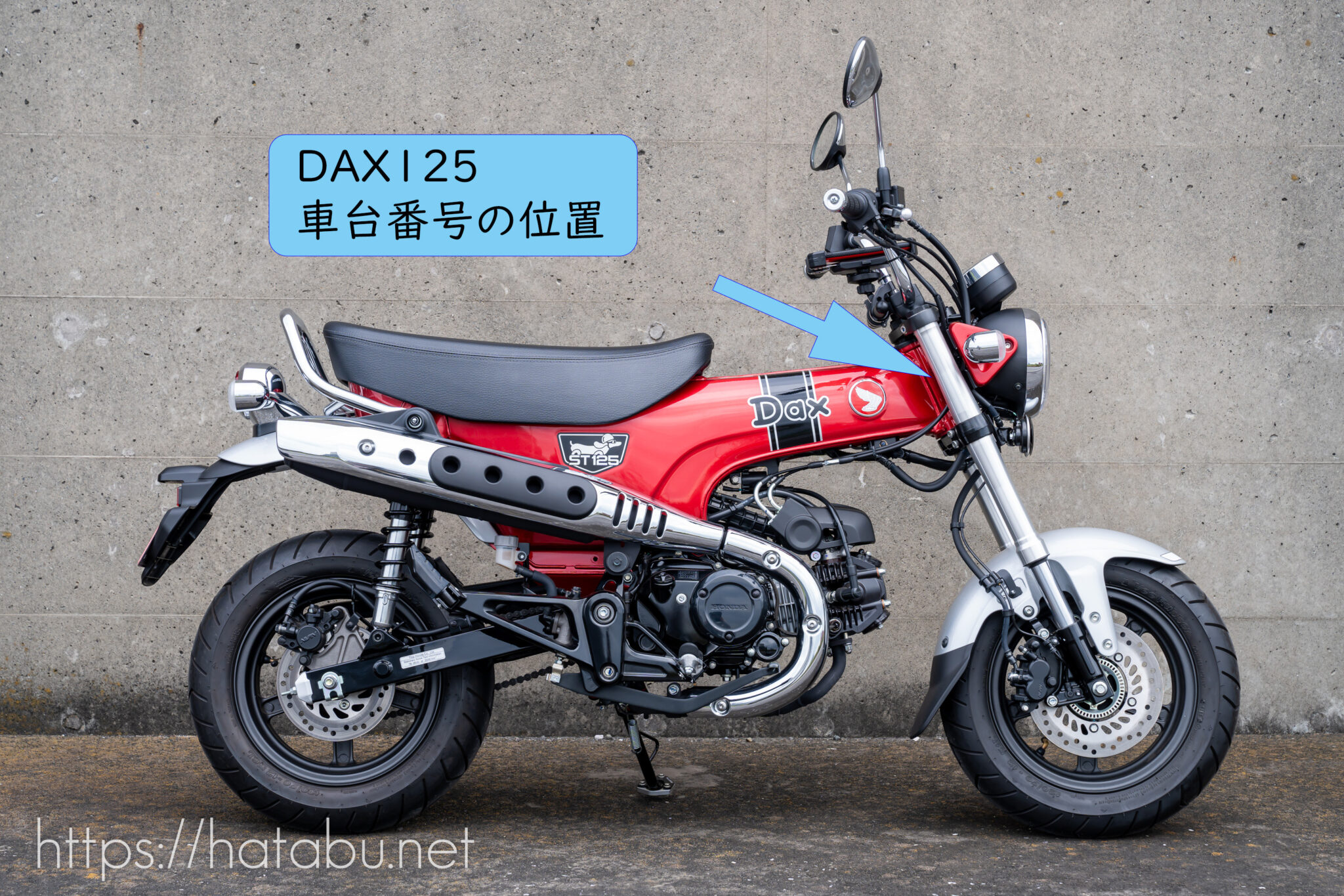 DAX125の車台番号・エンジン番号の位置｜ハタブマガジン